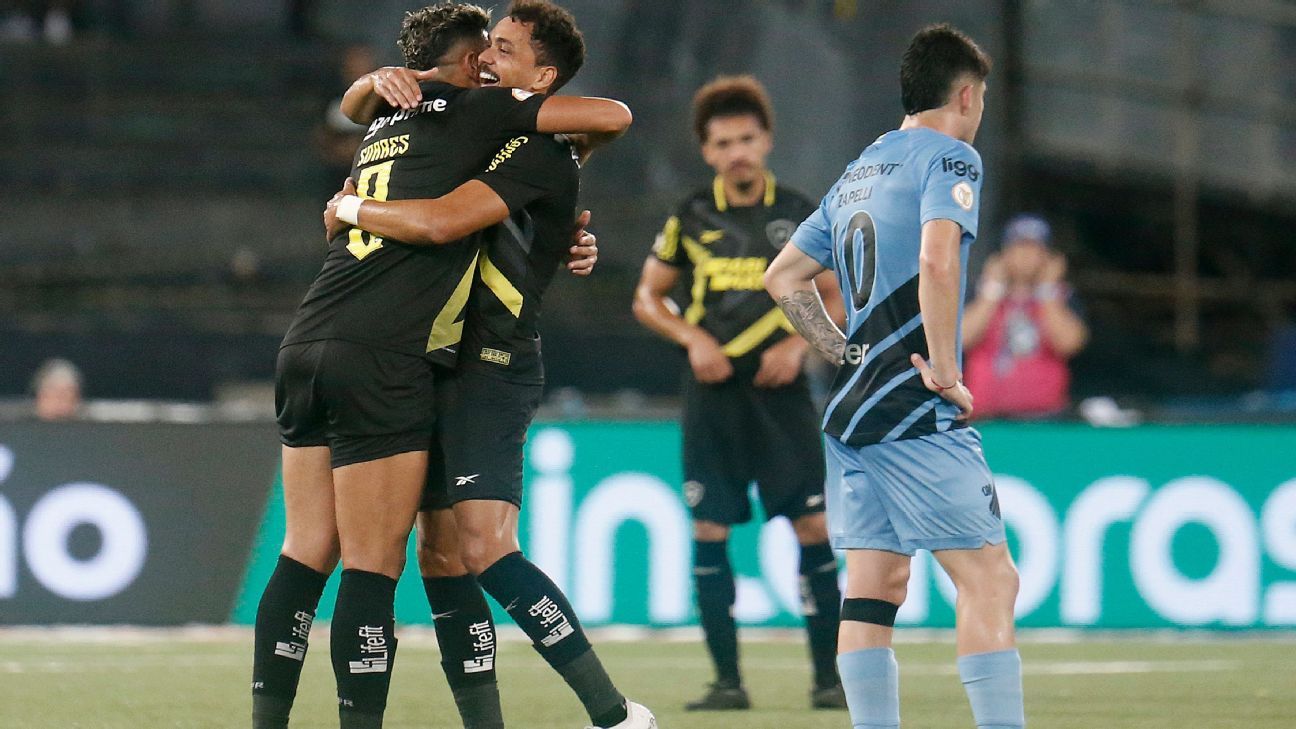 Seneme analisa os gols polêmicos de Botafogo x Athletico-PR - ESPN