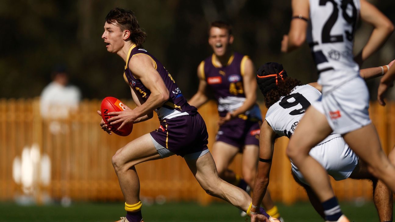 AFL lifelines galore as Melbourne Demons take father-son pick Kynan ...