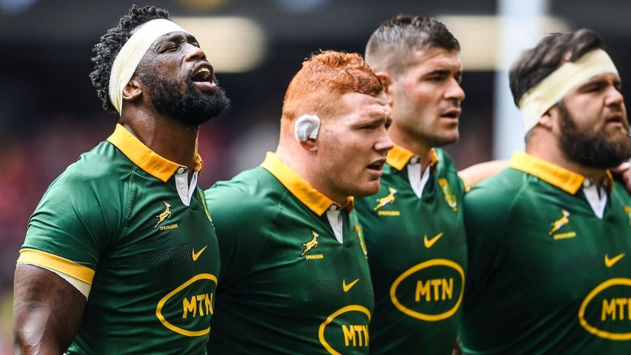 Los Springboks confirmaron su sede para el test con Portugal - ESPN