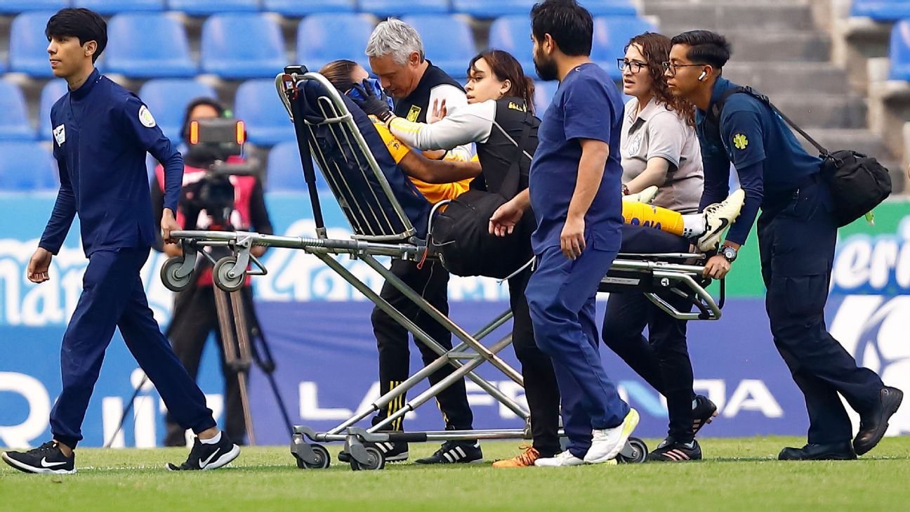 Tigres Femenil: Nayeli Rangel fuera tres meses - ESPN