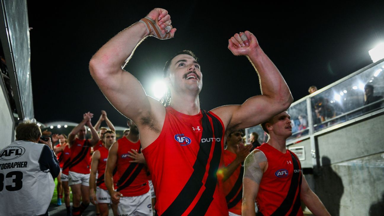 AFL admits to umpire error in not penalising Draper - ESPN