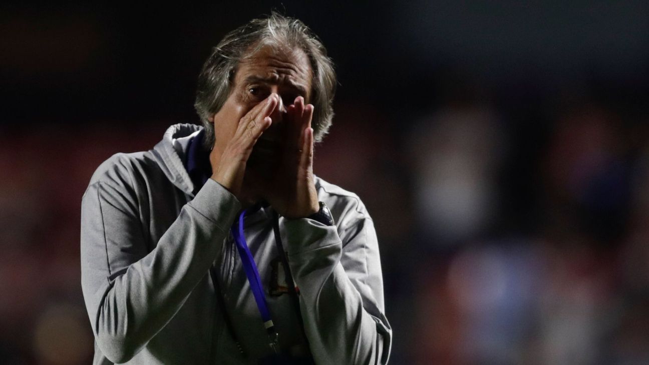 Alejandro Apud: "Danubio fue competitivo contra un rival candidato a ...