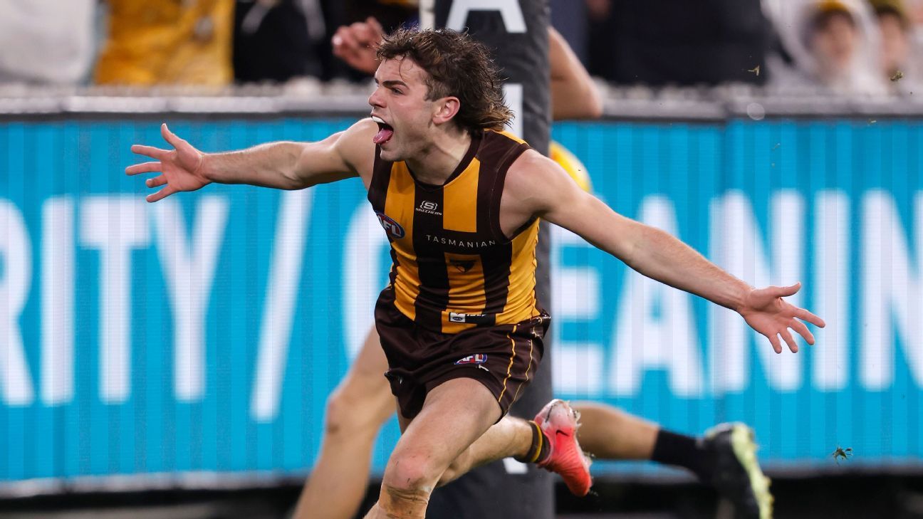 Livewire Ginnivan stars as Hawks crush Magpies - ESPN