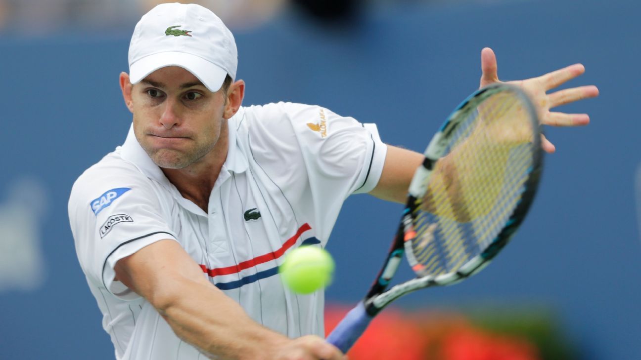 Andy Roddick se rindió ante la figura de Novak Djokovic - ESPN