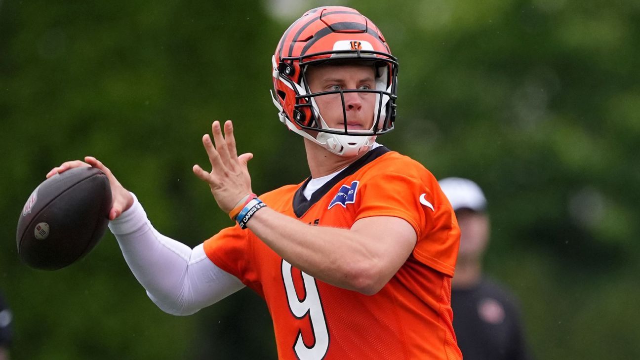 Joe Burrow se saltará el final de pretemporada de los Bengals - ESPN