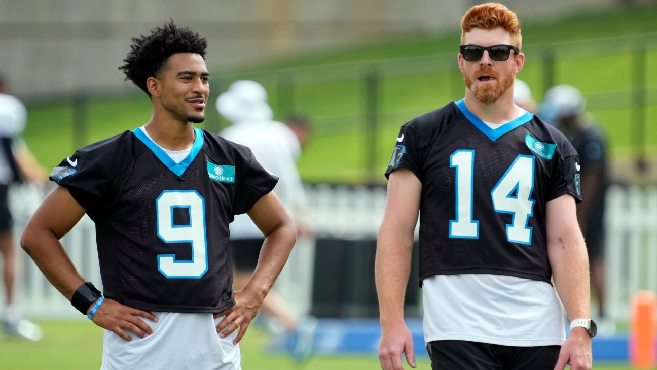 Andy Dalton será el nuevo quarterback titular de los Panthers - ESPN