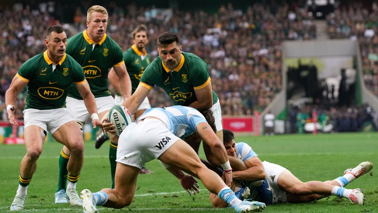 Con los partidos ante Los Pumas, el calendario de los Springboks para 2025 - ESPN