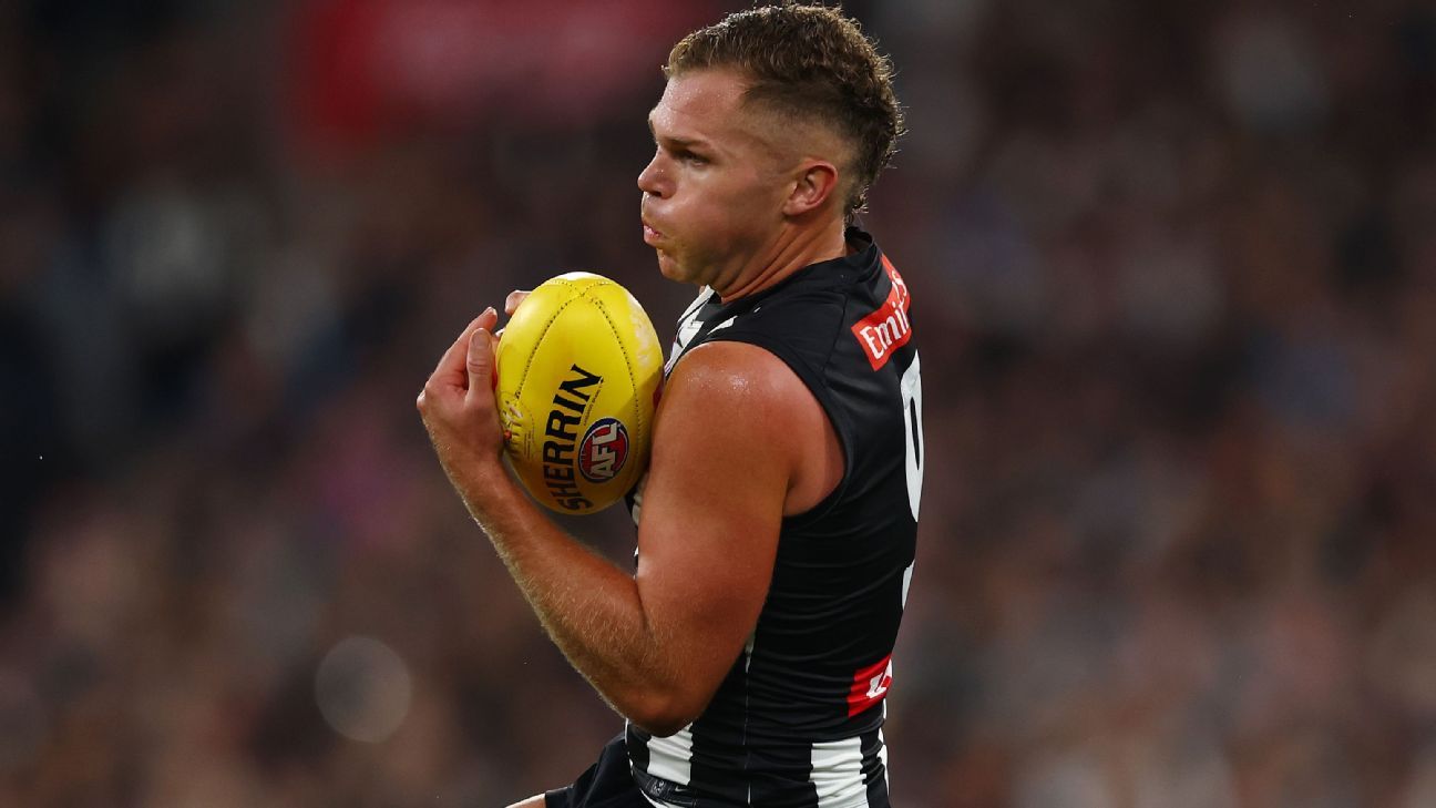 Pies' Houston hit with another AFL ban over high bump - ESPN