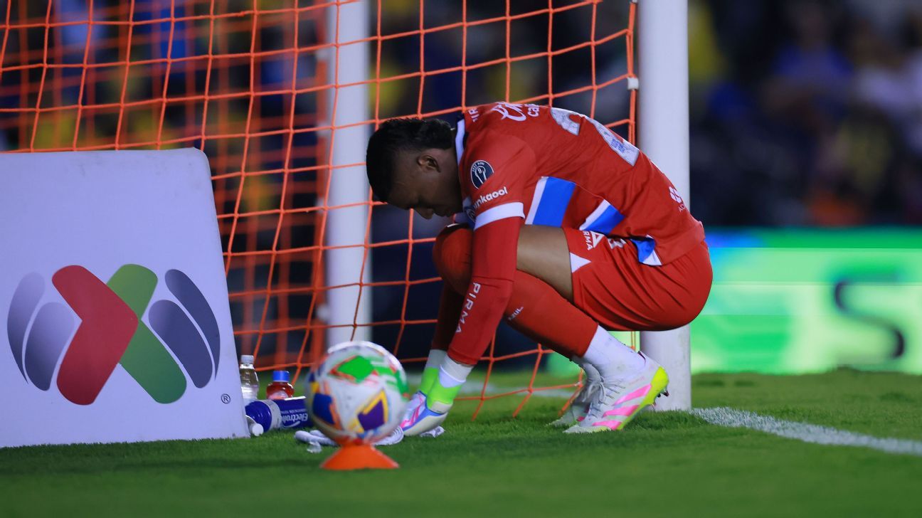 Asteria jade i was attracted upon seeing Florence photos.