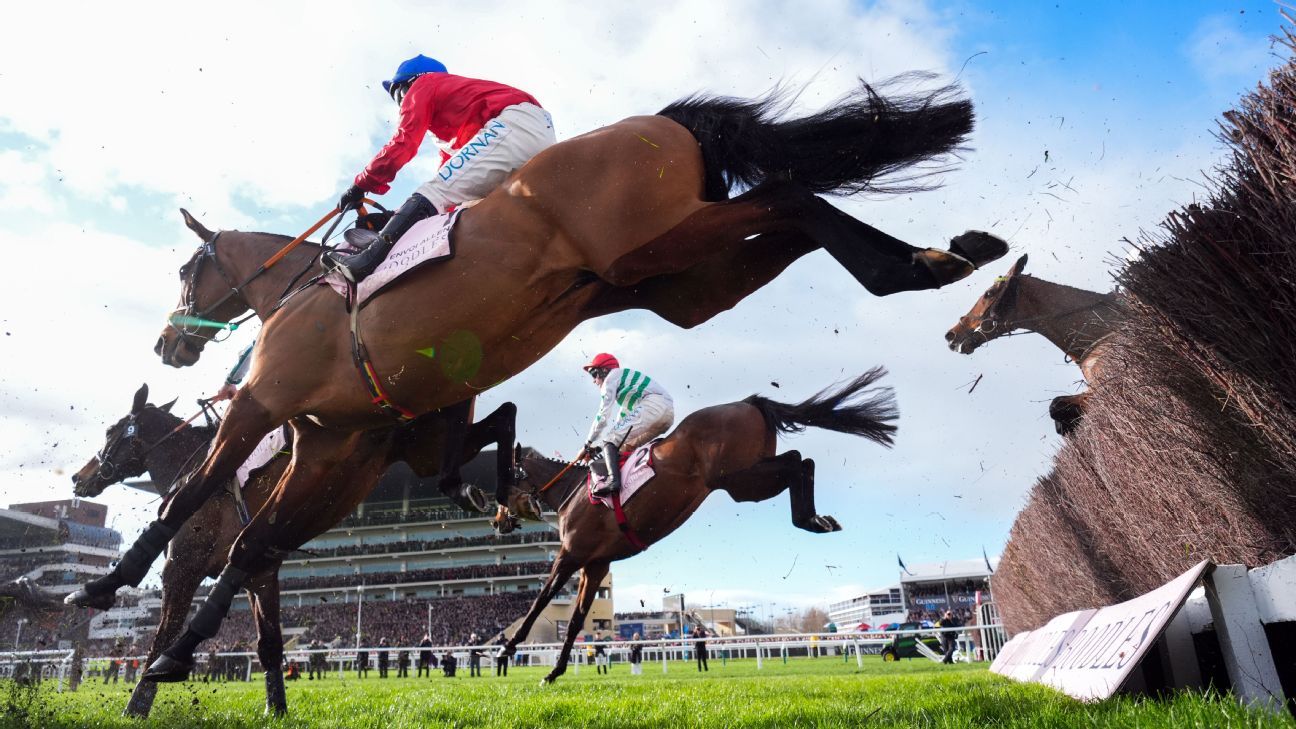 Cheltenham Festival: Four horses die, RSPCA demand 'urgency' in ...