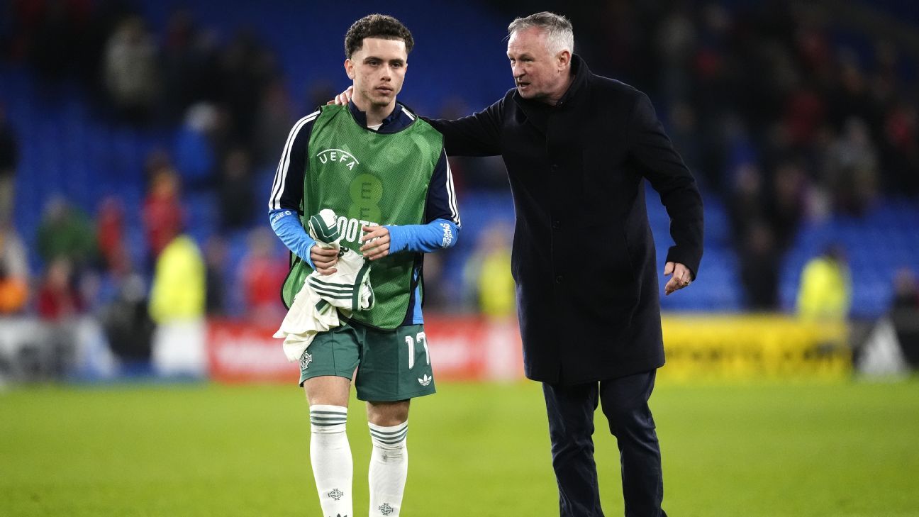 Northern Ireland boss in dual role row, Championship clubs cite ...