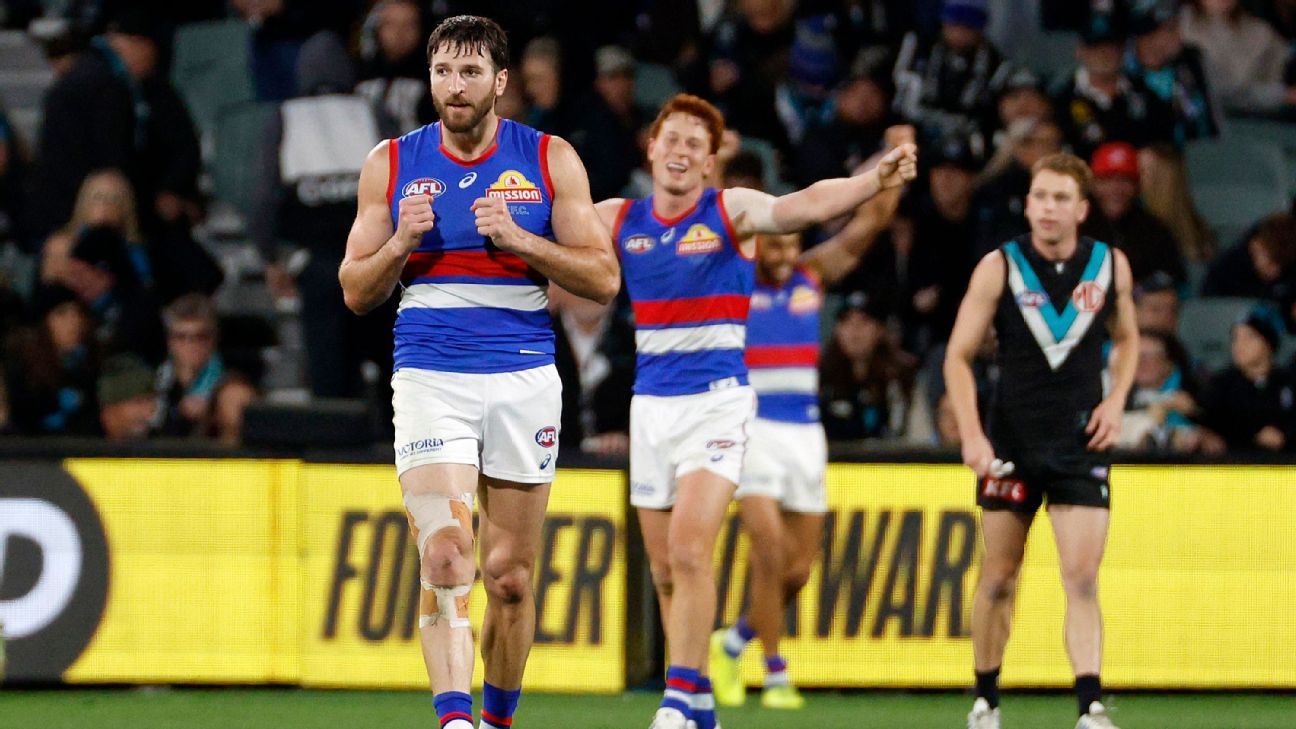 'You get used to it': Dogs coach on brilliant captain - ESPN
