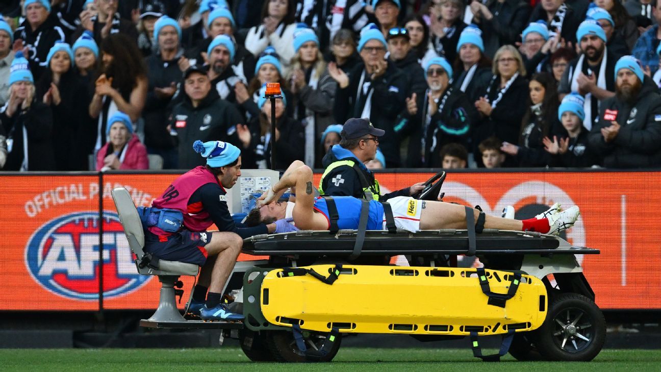 Lucky escape: Demon Mihocek 'millimetres from disaster' - ESPN