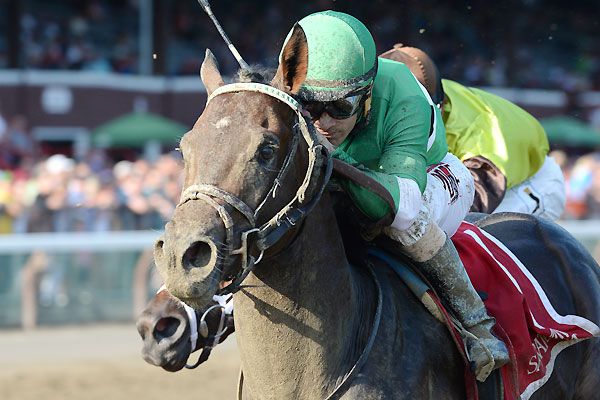 Pedigree profile: Exaggerator - ESPN