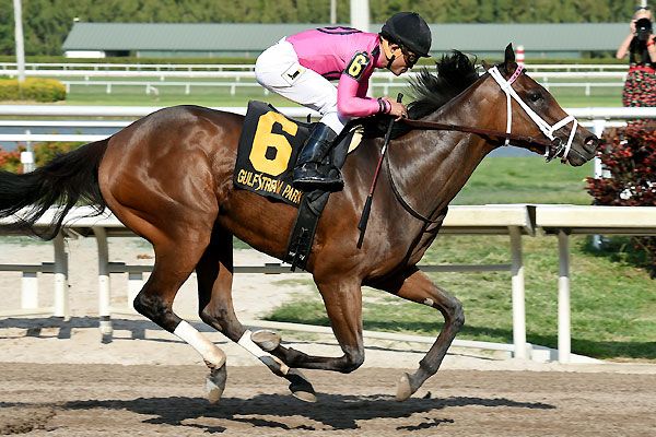 Salty looks for better racing luck in Cotillion - ESPN