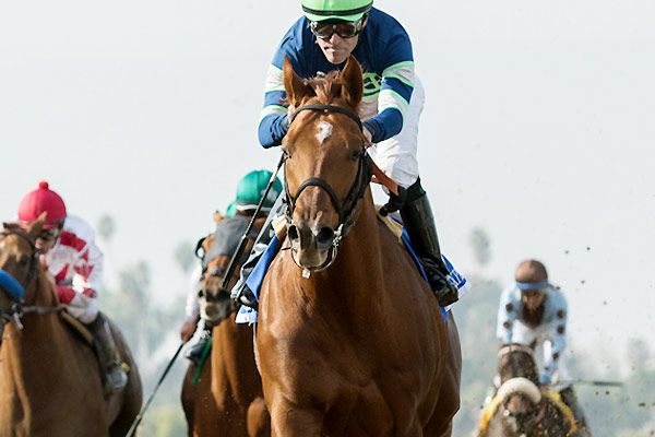 Front-running Giant Expectations upsets San Antonio - ESPN