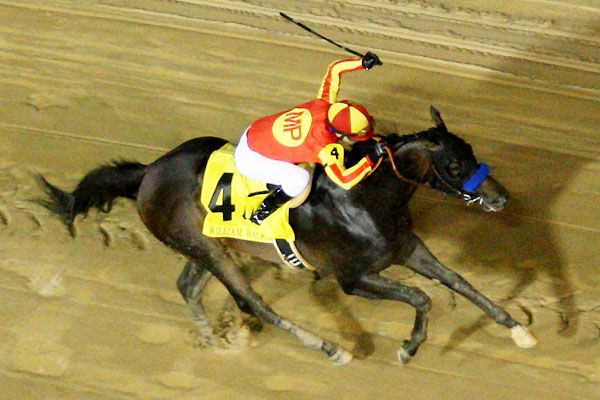 Toews On Ice scores win in Walker Stakes - ESPN