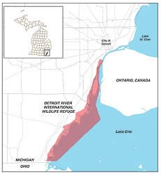 Detroit River: Building conservation bridges - ESPN