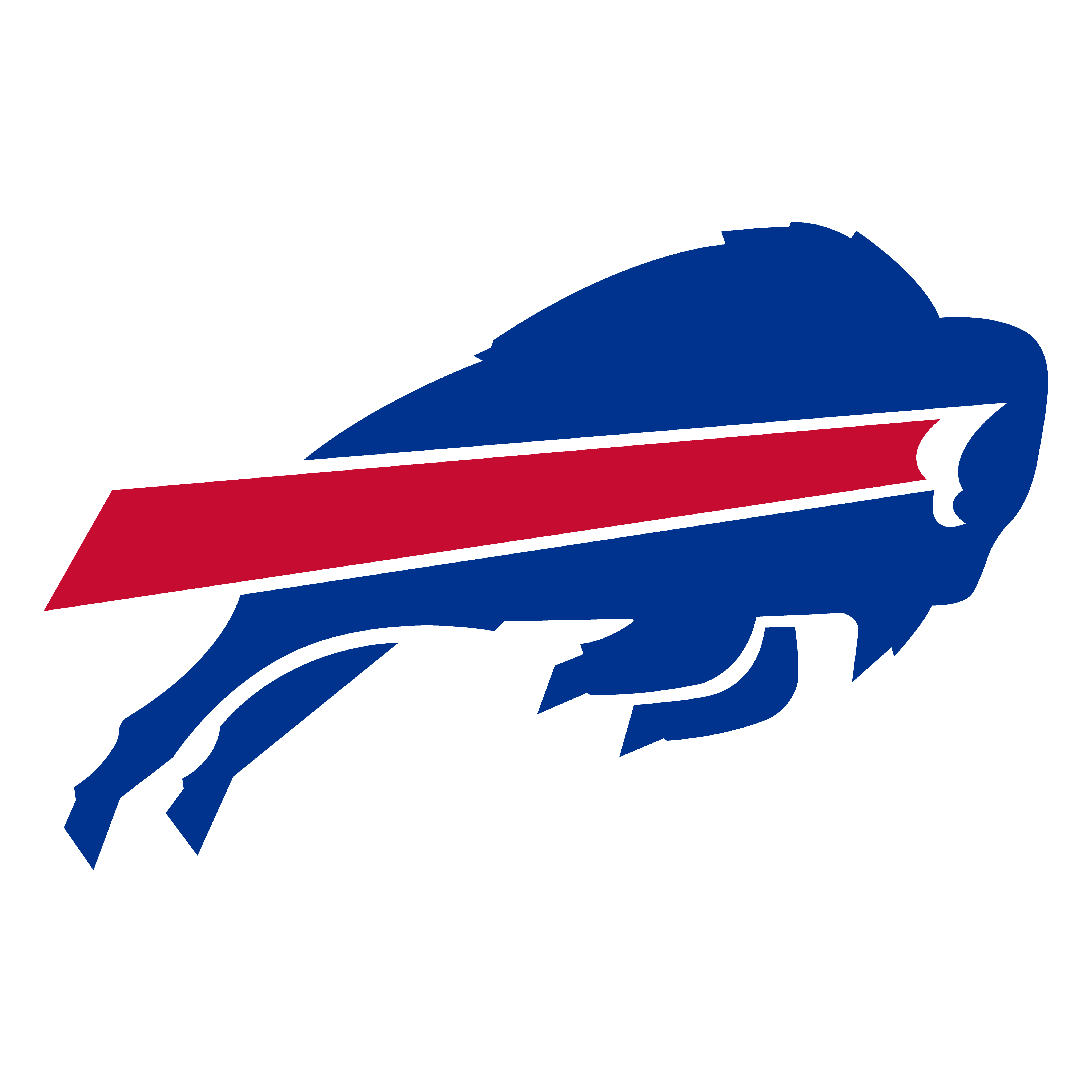 Buffalo bills live store