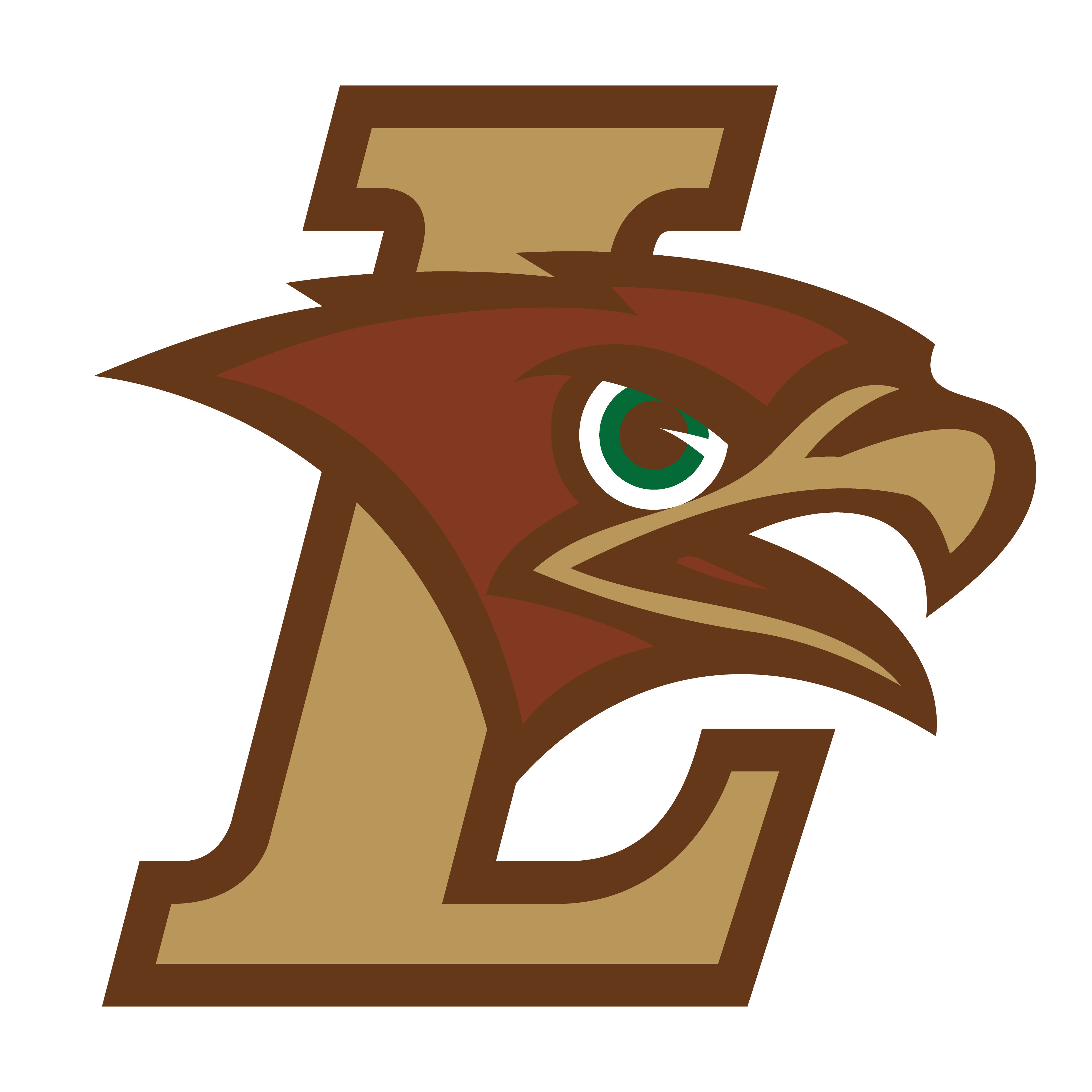 Lehigh Mountain Hawks Scores Stats and Highlights ESPN