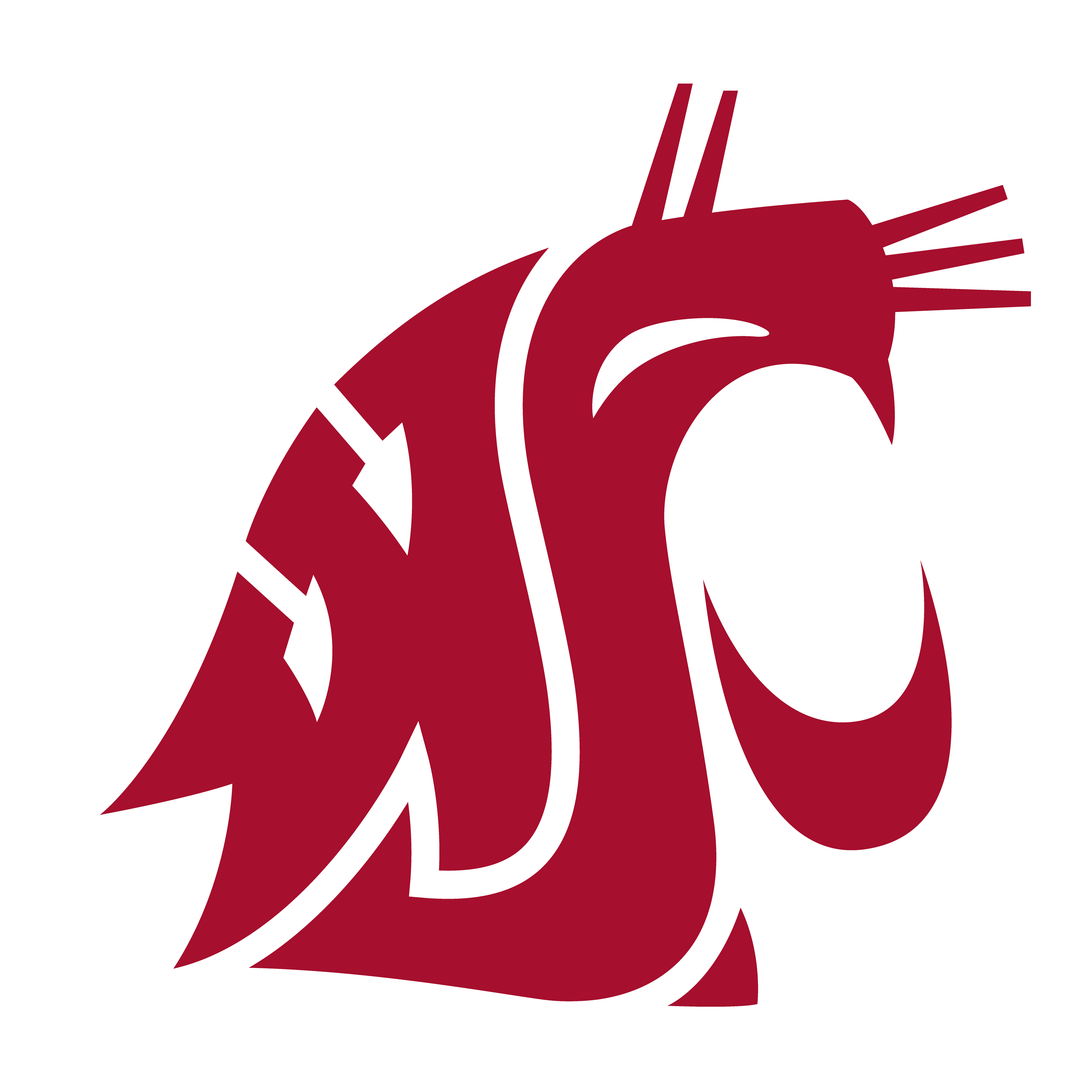 Cougar Fotball Logo Cougars Head Mascot Logo With Logo Set For Team