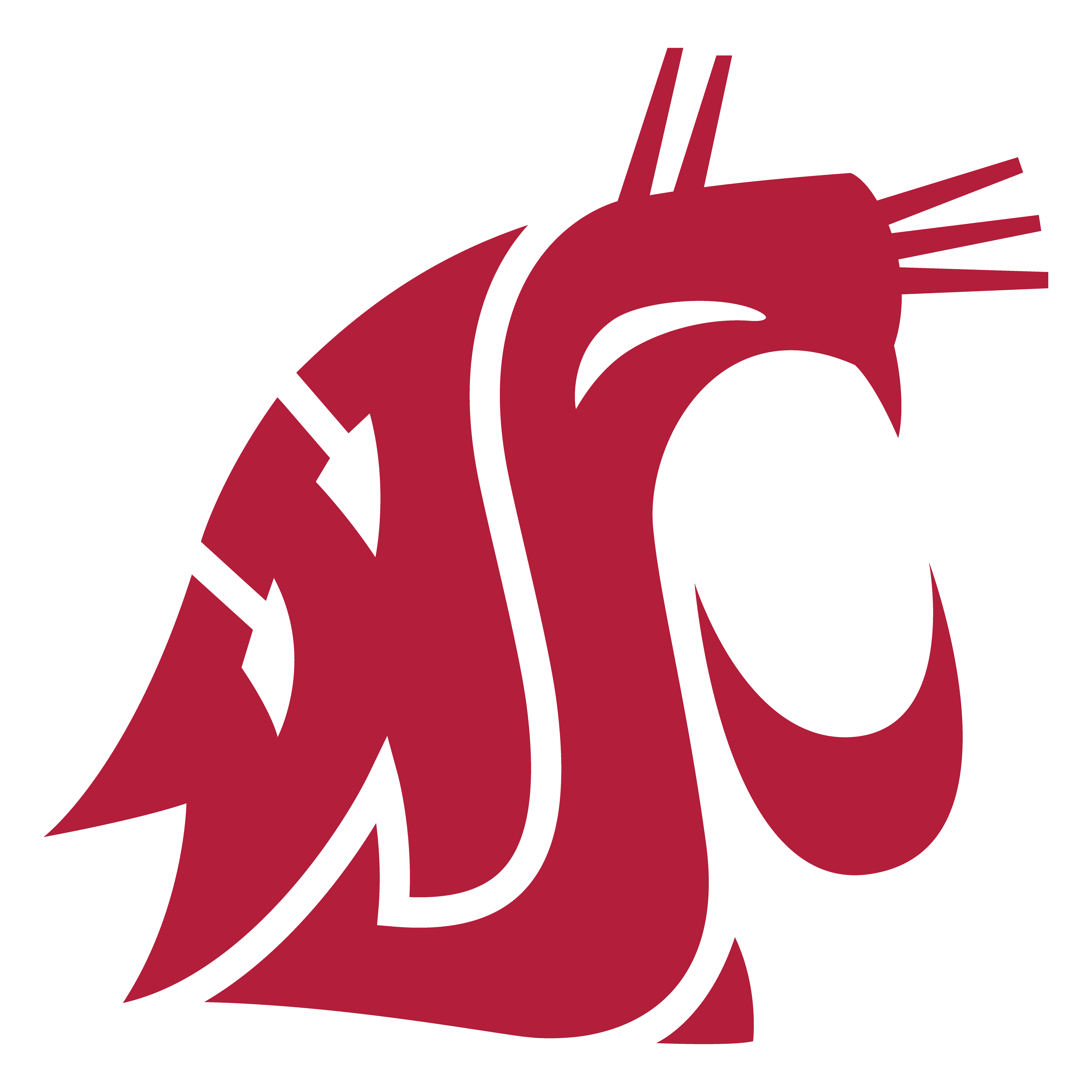 Washington state university football store