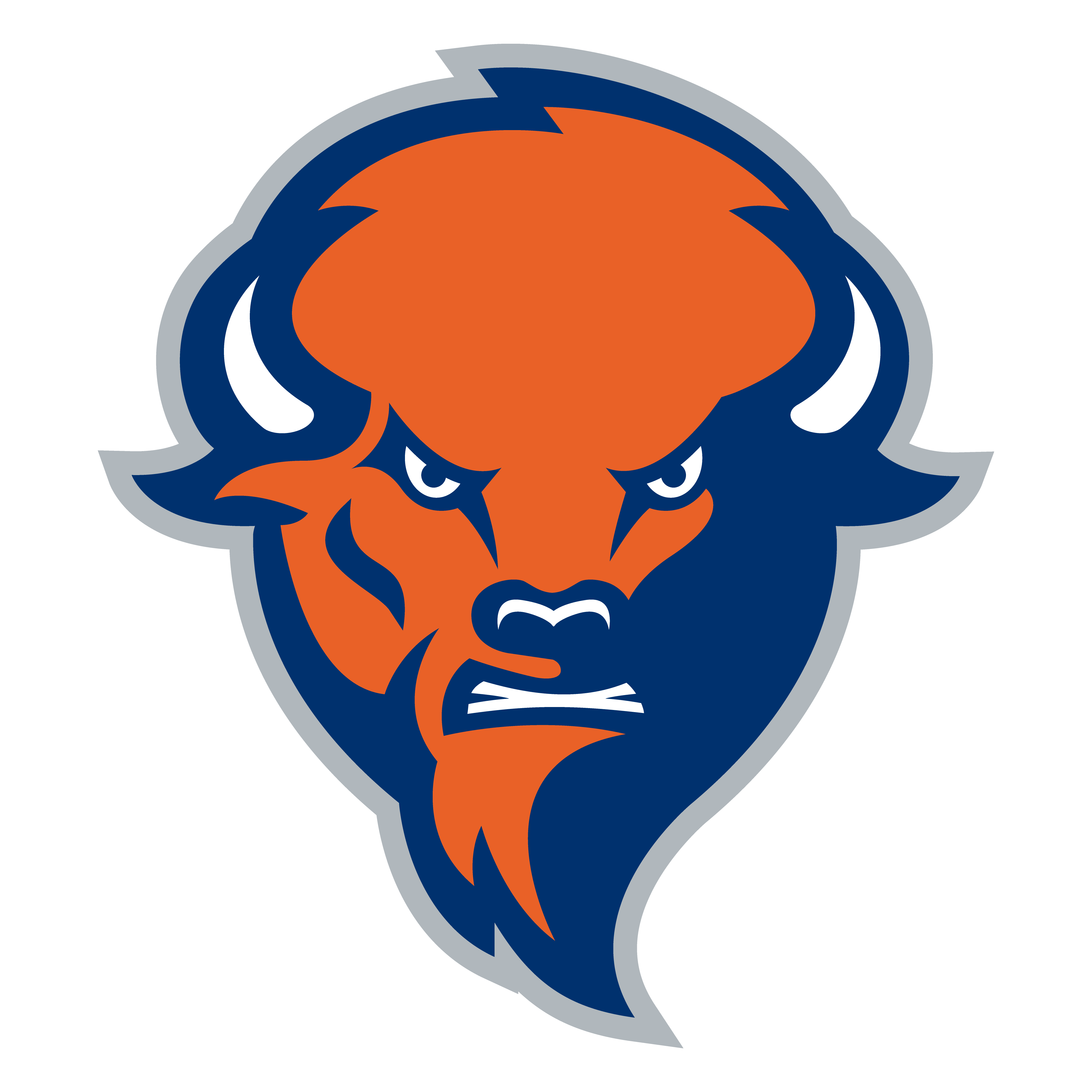 Bucknell University Football