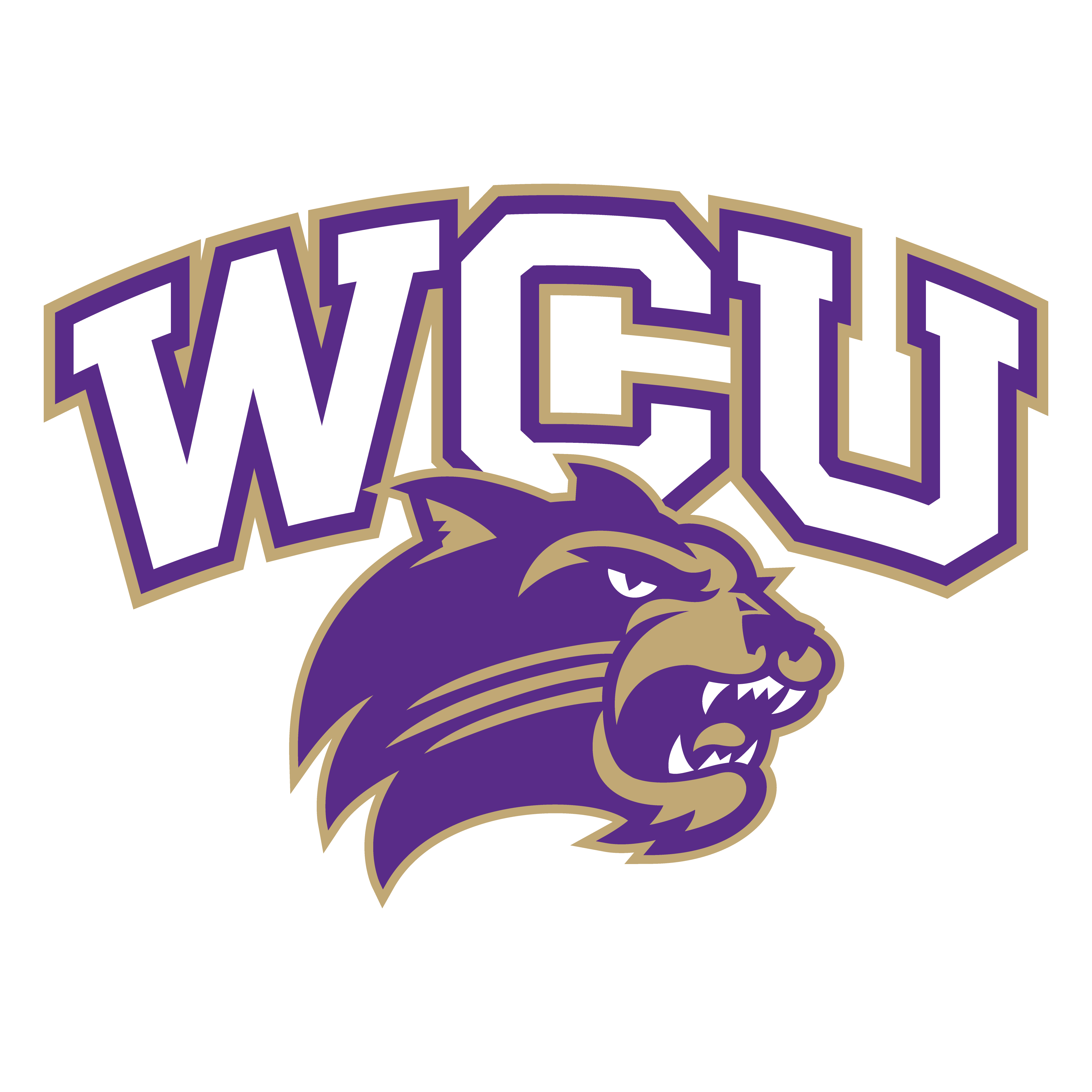 Western carolina university football store