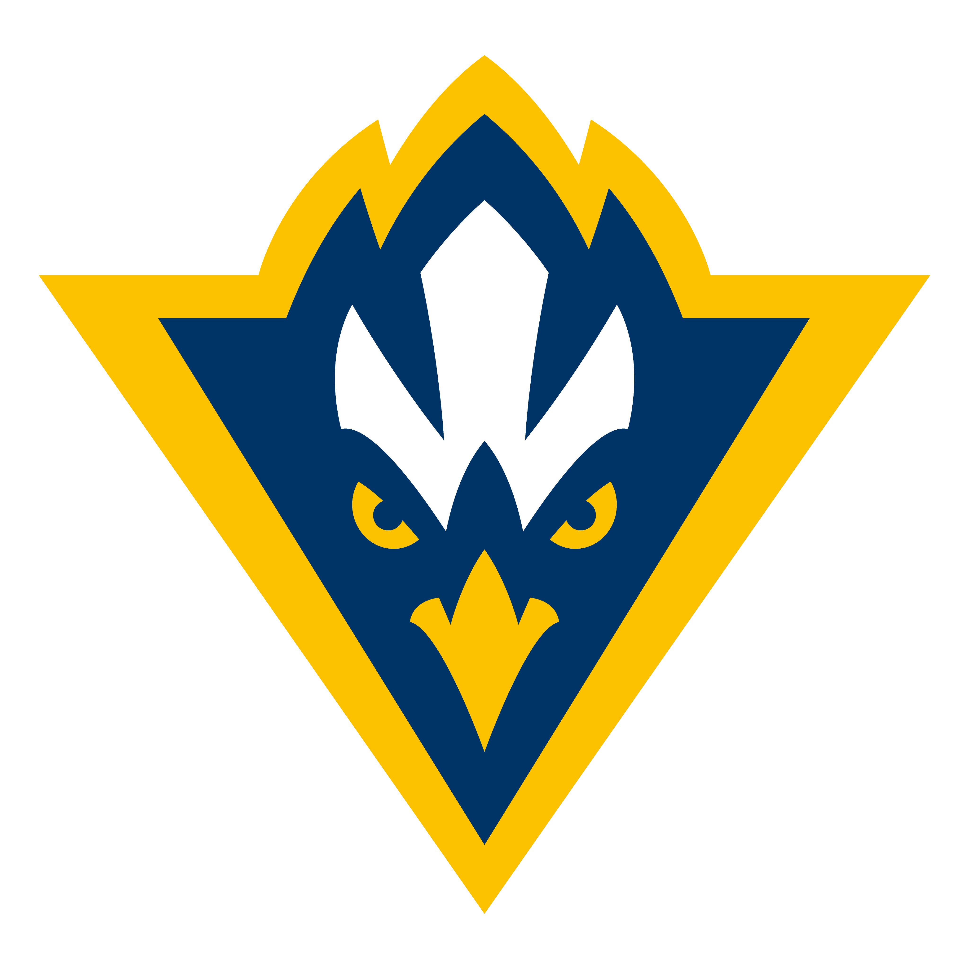 Uncw Seahawk Logo Seahawk Club UNC Wilmington Athletics