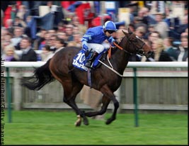 Shamardal dies aged 18 - Thoroughbred Horse Racing and Breeding Forums