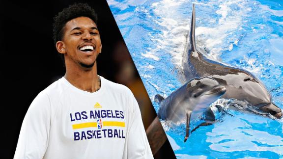 Nick Young: Dolphin tried to kill me - ABC7 Chicago