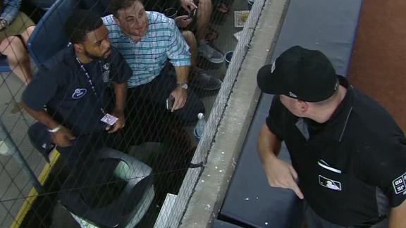 Fan ejected from Yankee Stadium for yelling out pitch locations - ABC7 ...