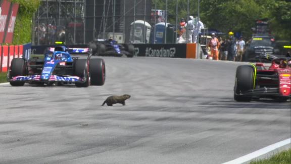 Formula 1 News, Live Grand Prix Updates, Videos, Drivers and Results - ESPN