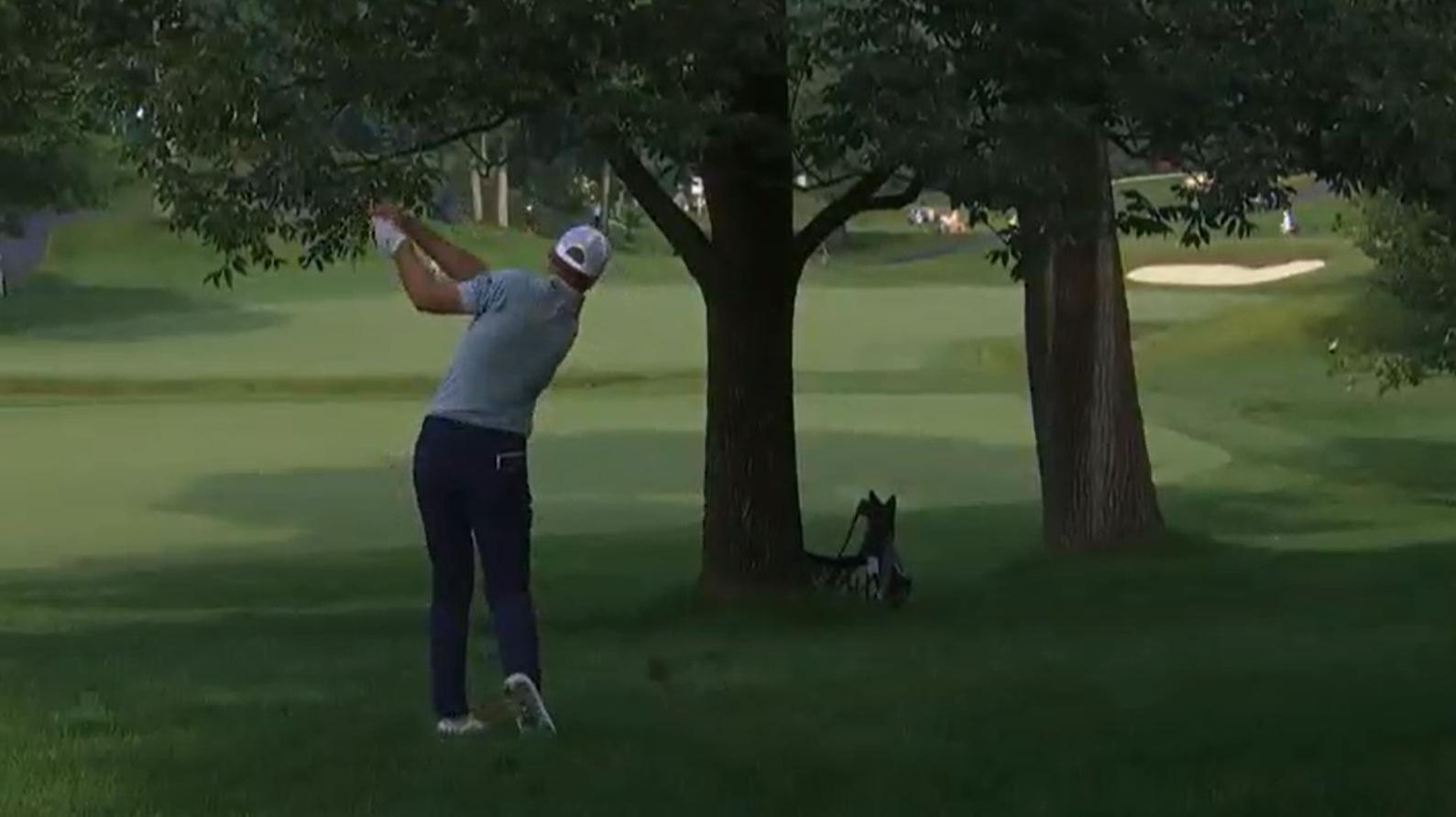 Sam Burns has some bad luck hitting this tree twice - WatchESPN