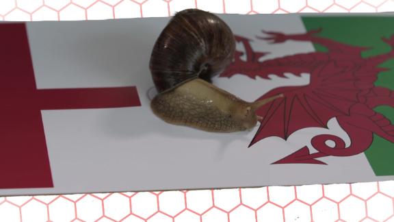 KSI & Manny Euro 2016 Football Videos - ESPN Inn