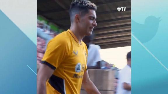 mexican wolves player