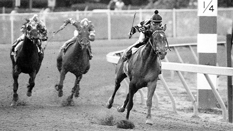 1979 - Spectacular Bid - Triple Crown Photo Gallery - ESPN