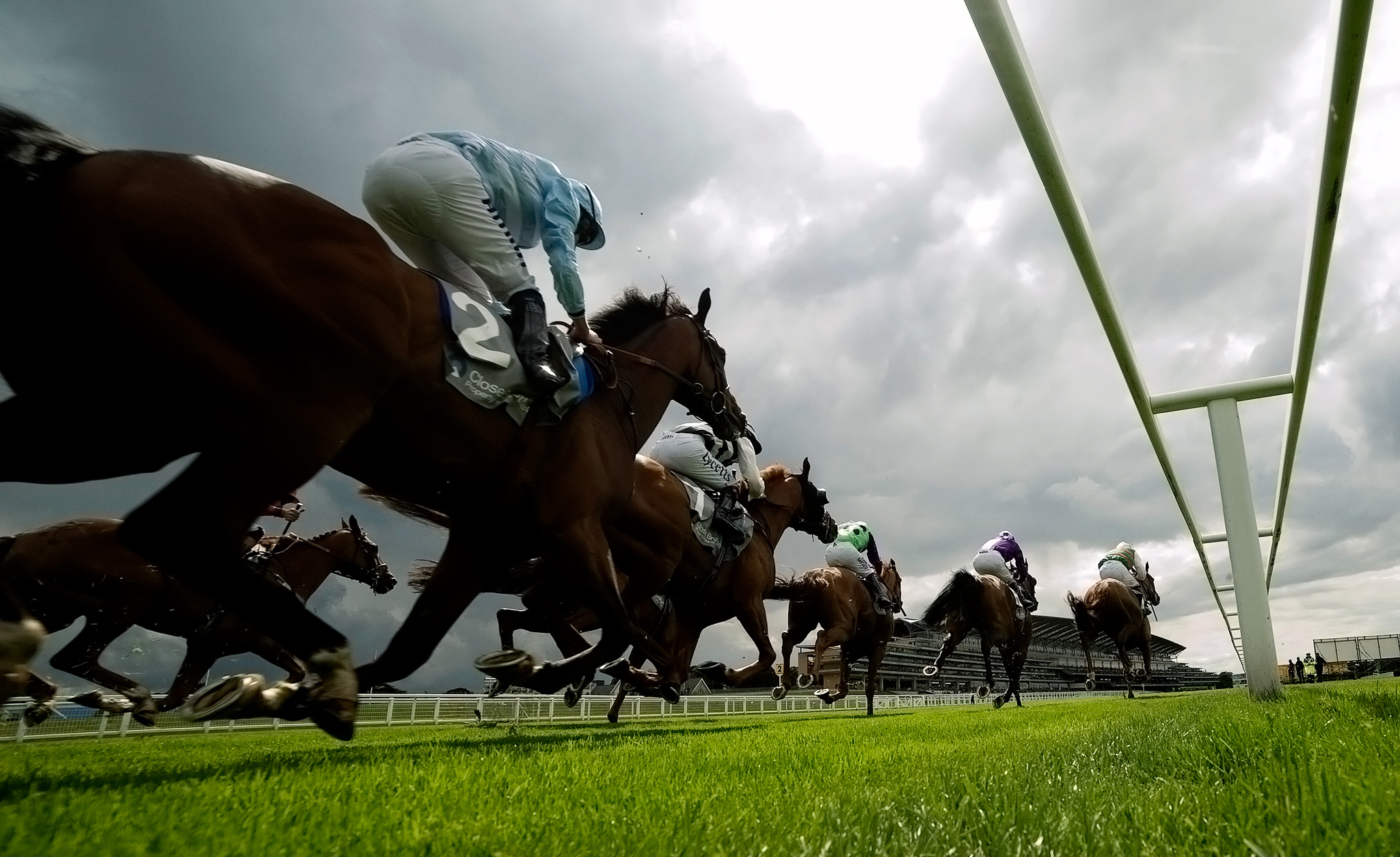 Grass Gallopers - ESPN Playbook: Photos of the Week July 22, 2012 - ESPN