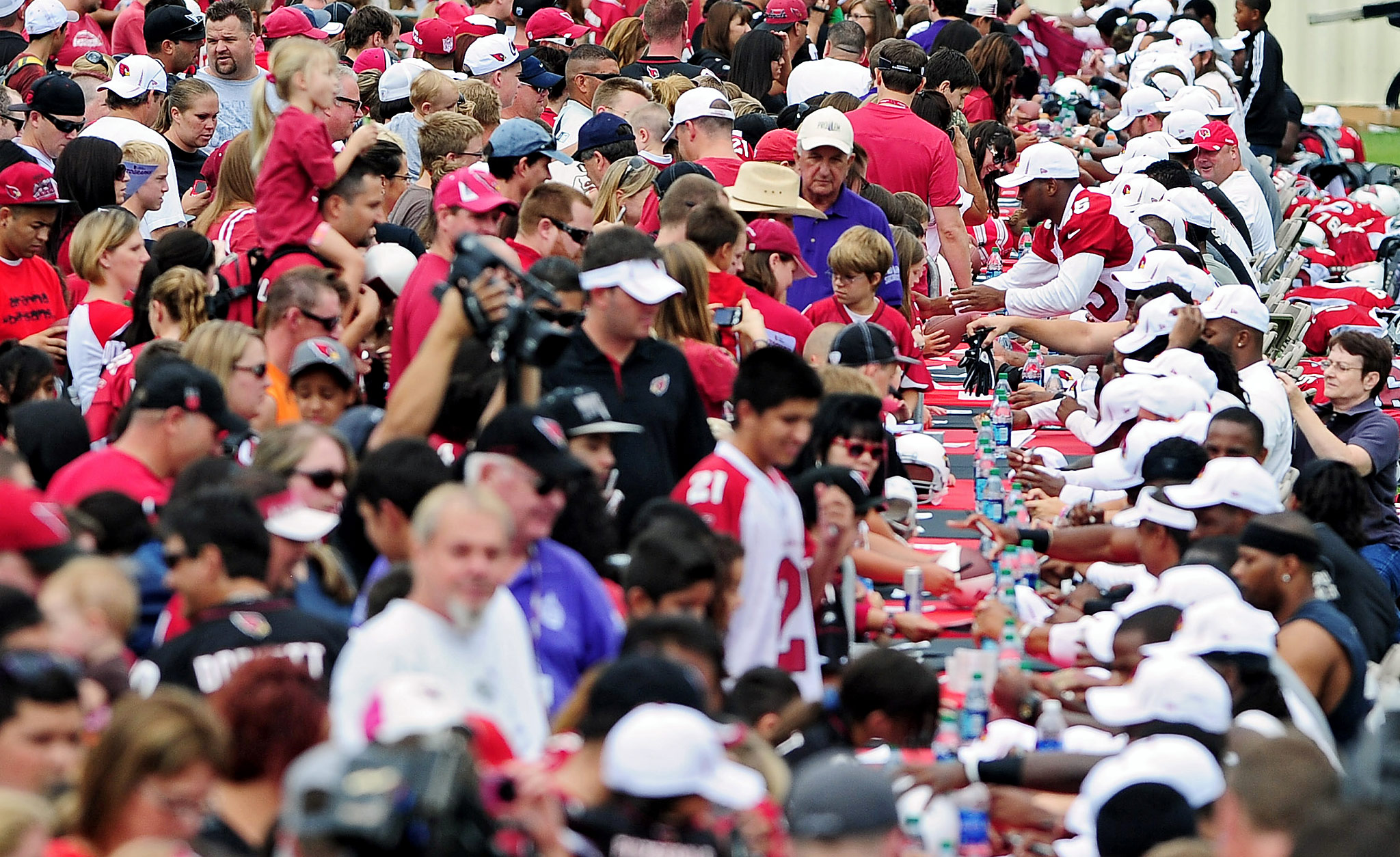 Cardinals Rule - Fans at NFL Training Camps - ESPN