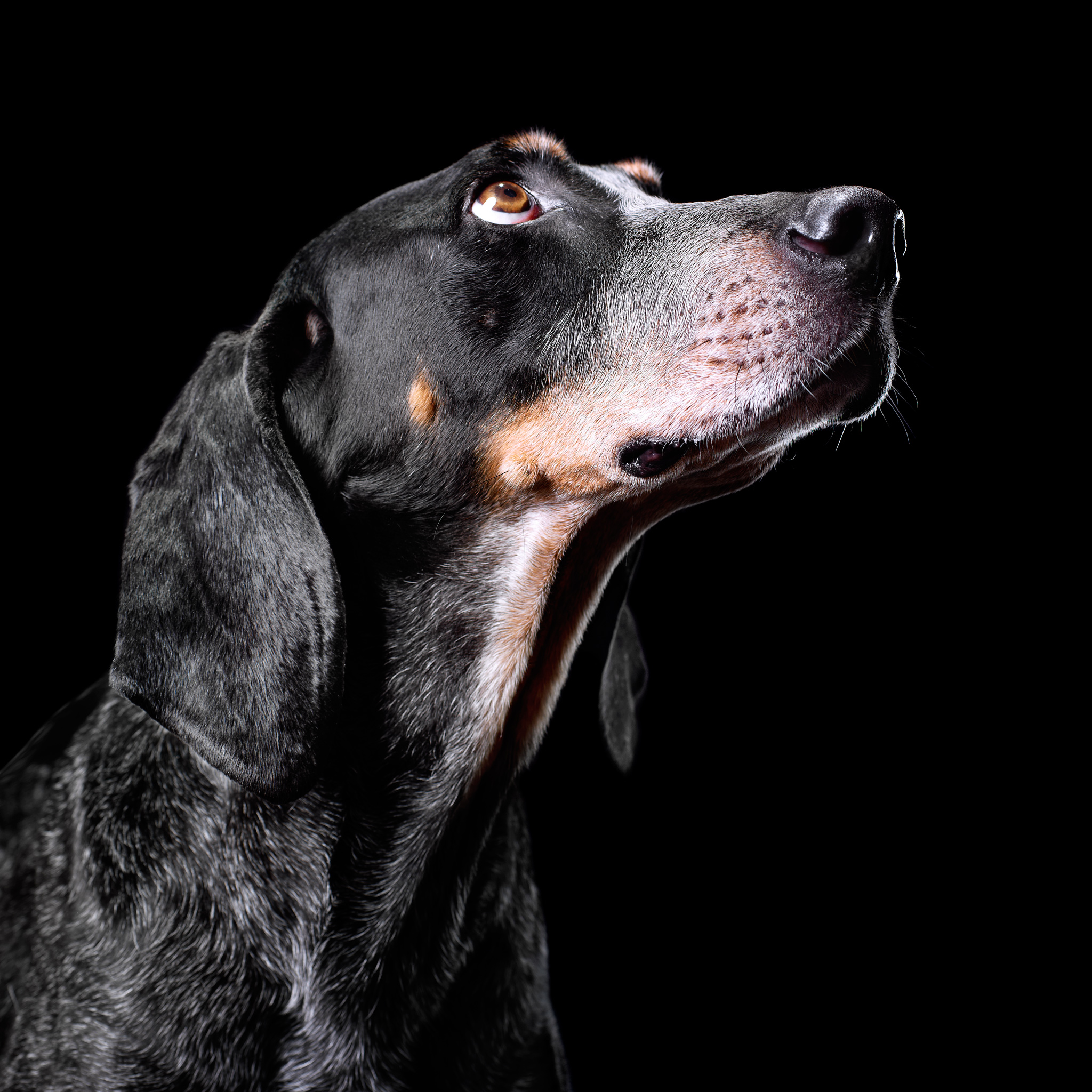 SMOKEY - Mascots of the Southeastern Conference - ESPN