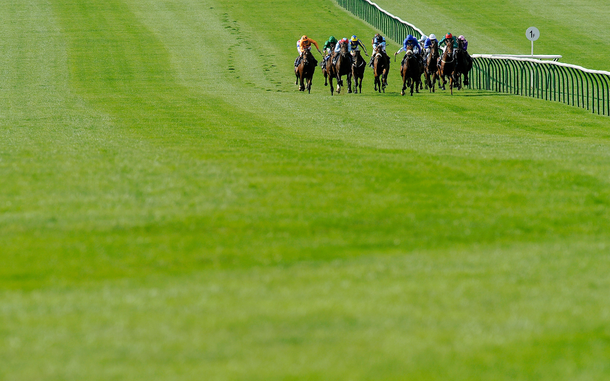 Newmarket racecourse - Photos of the Day September 28, 2012 - ESPN