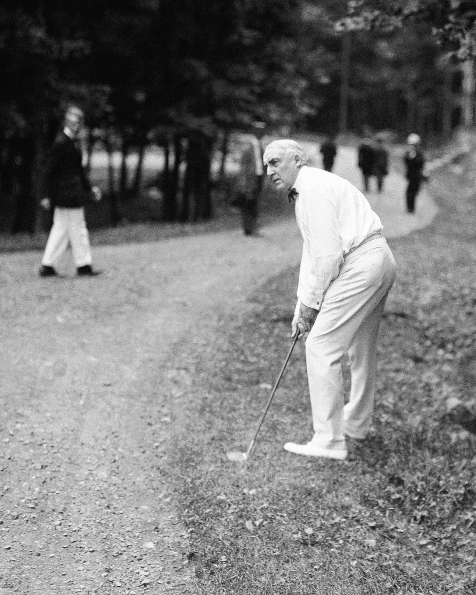 Warren G. Harding - Presidents of the USA at Play - ESPN