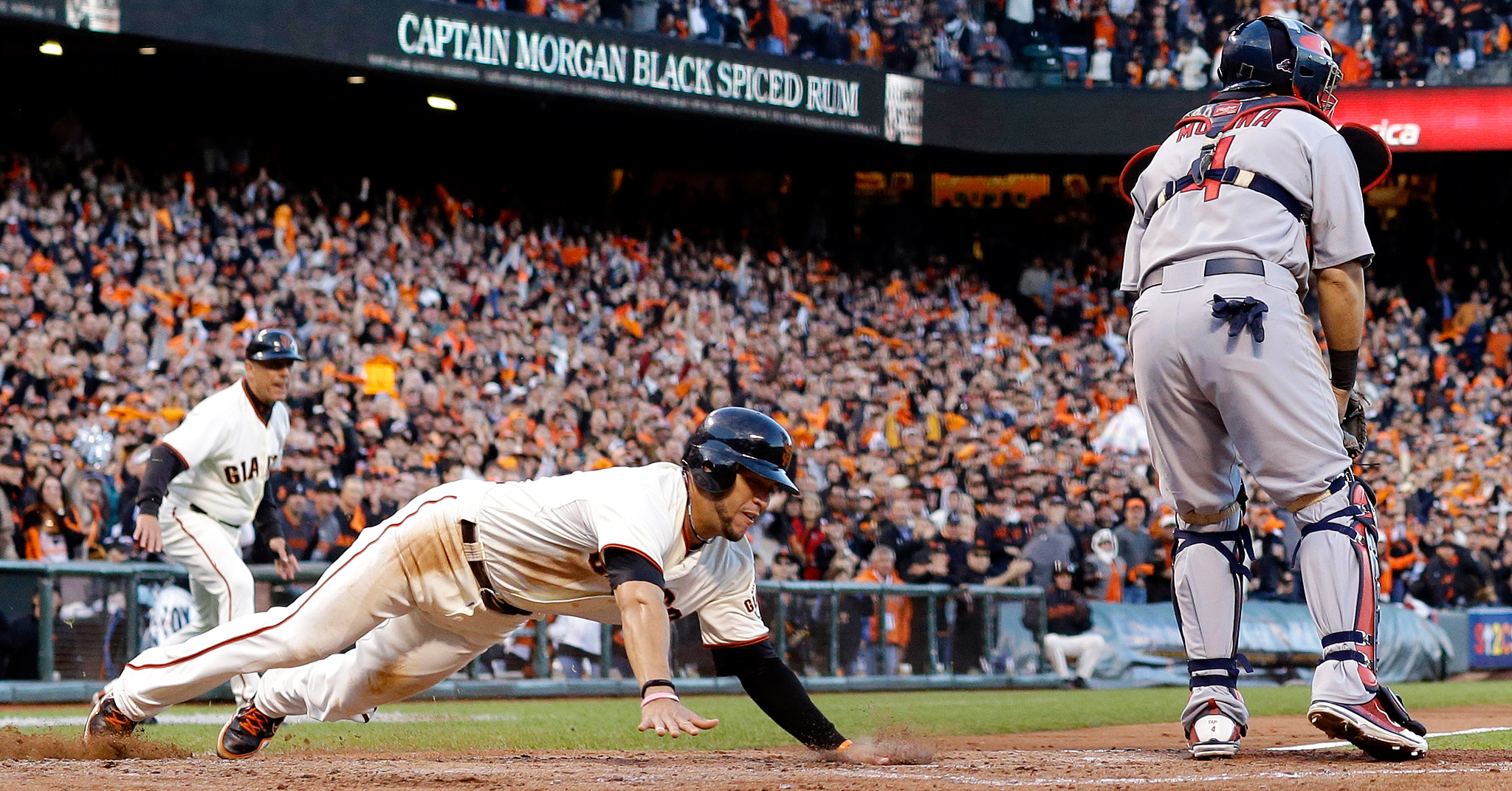 Finding His Way Home - Photos of the Day October 23, 2012 - ESPN