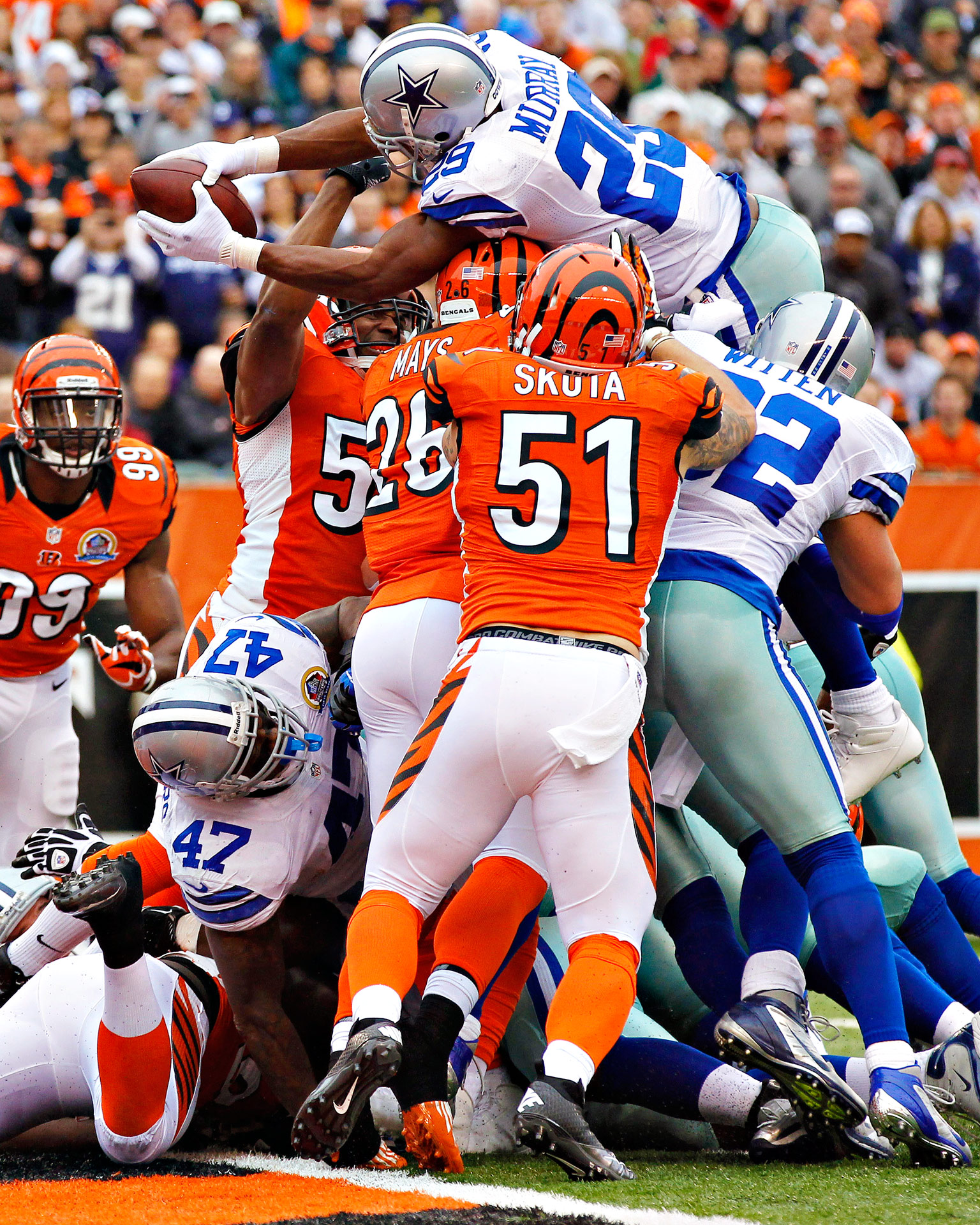 Cowboy Up - Photos of the Day for Dec. 10, 2012 - ESPN