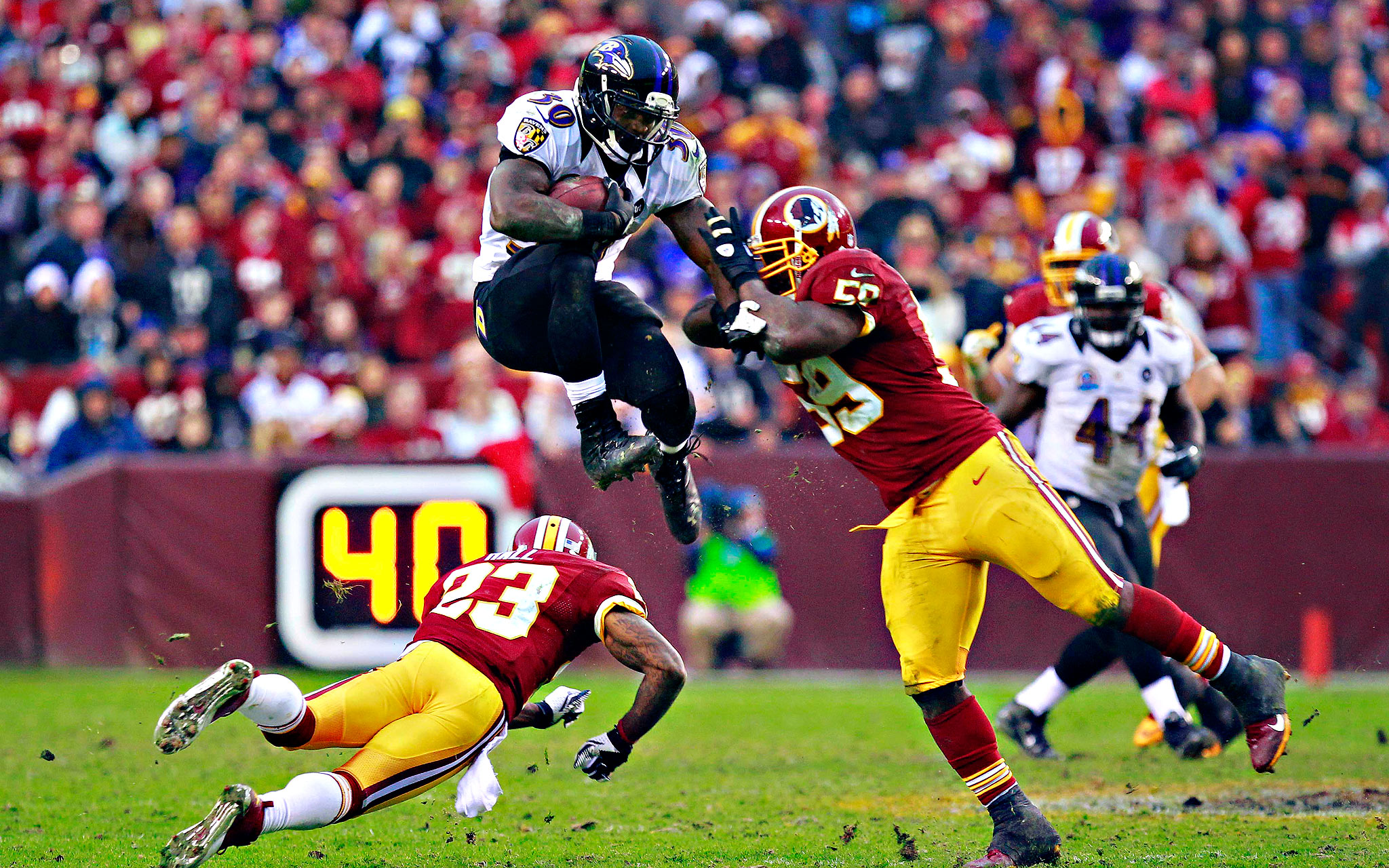 Raven Fly - Photos of the Day for Dec. 10, 2012 - ESPN
