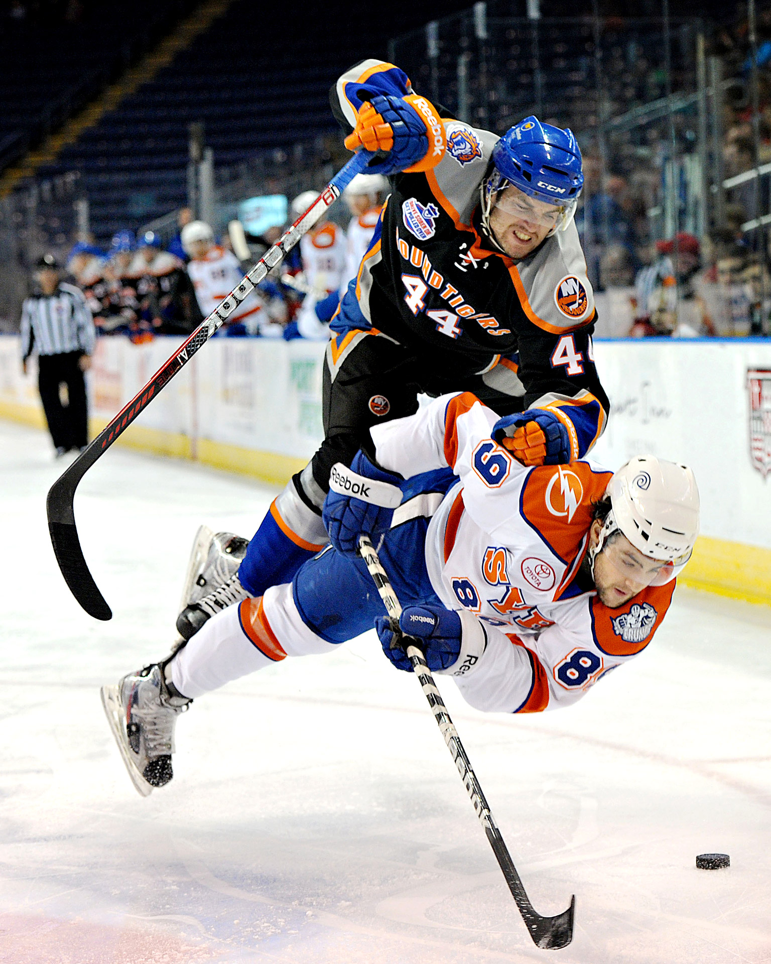 Ice Dance - Photos of the Day for Dec. 10, 2012 - ESPN