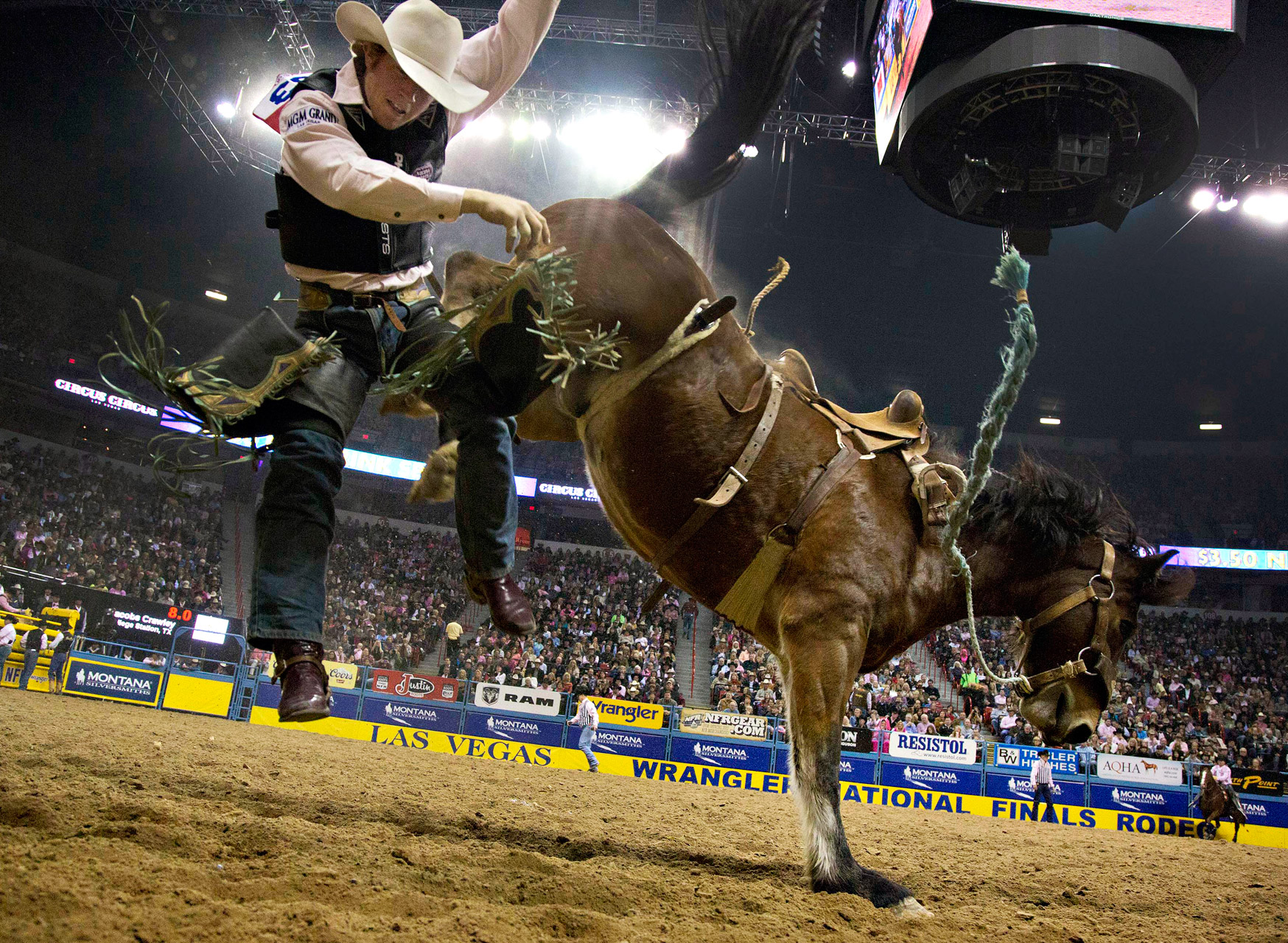 Bucked Bronco - Photos of the Day for Dec. 11, 2012 - ESPN
