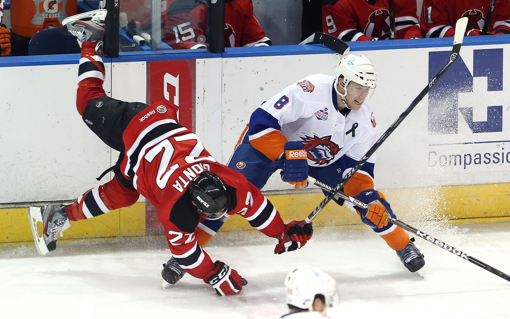 Still on Ice - Photos of the Day for Dec. 20, 2012 - ESPN