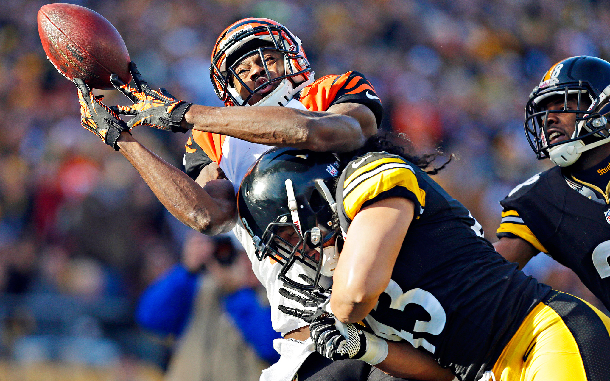 Photos of the Day for Dec. 24, 2012 - ESPN