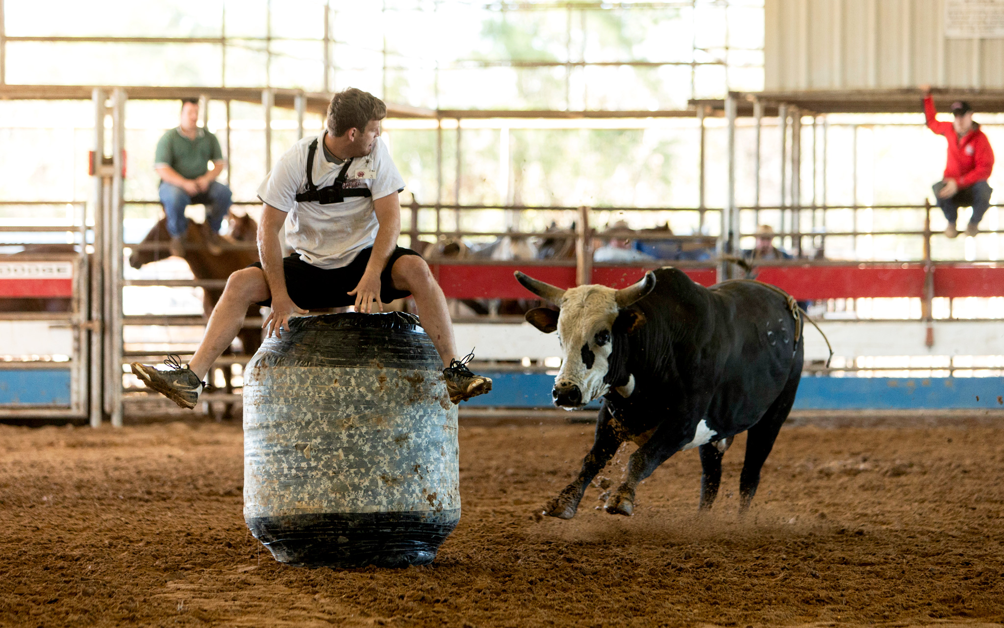 Bull Fighter Training at Sankey Rodeo School - Sankey Rodeo Bull ...